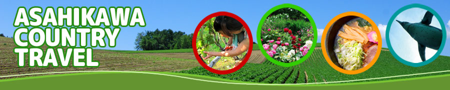 Biei Patchwork Road Half day trip Taxi tour｜Asahikawa Country Travel ...